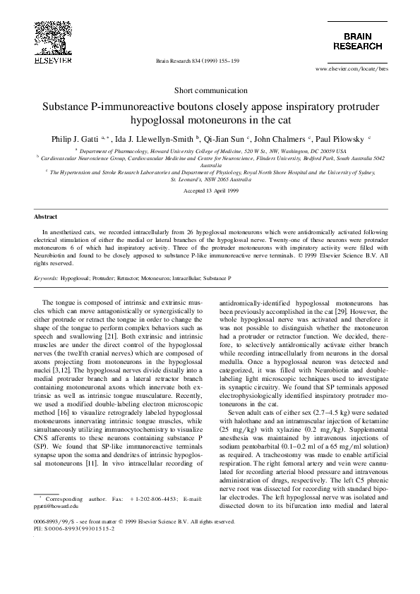 (PDF) Substance P-immunoreactive boutons closely appose inspiratory ...