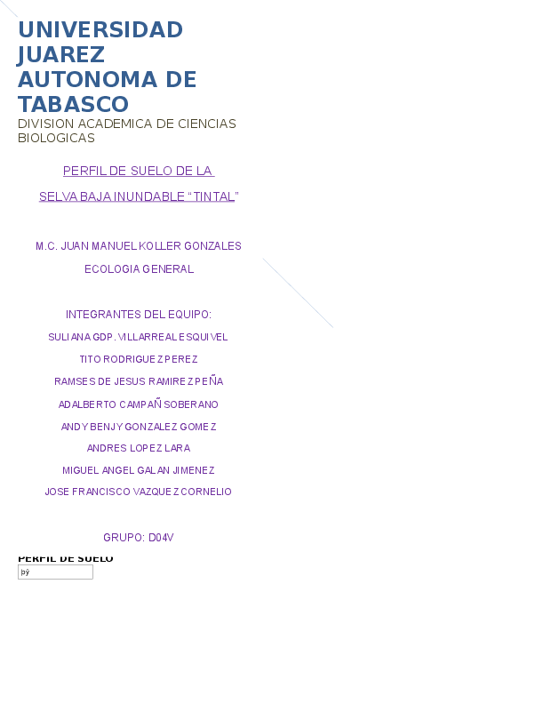 (DOC) PERFIL DE SUELO EN UNA LA SELVA BAJA INUNDABLE LLAMADA " TINTAL