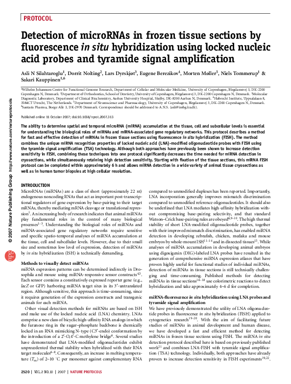 Pdf Detection Of Micrornas In Frozen Tissue Sections By Fluorescence In Situ Hybridization