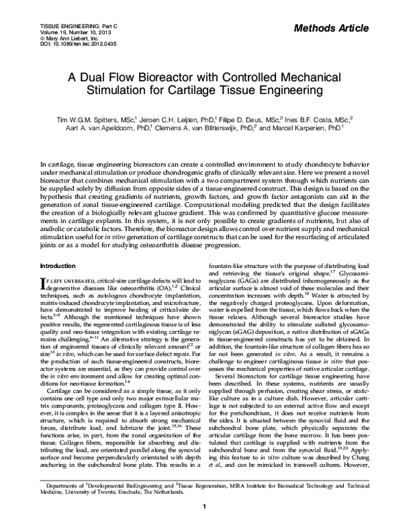 (PDF) A Dual Flow Bioreactor with Controlled Mechanical Stimulation for ...