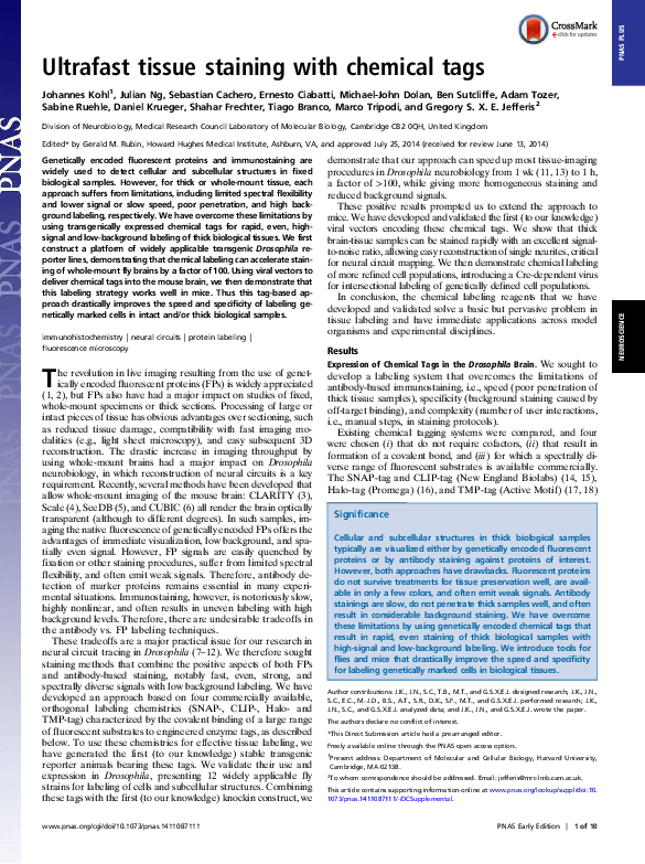(PDF) Ultra fast tissue staining with chemical tags