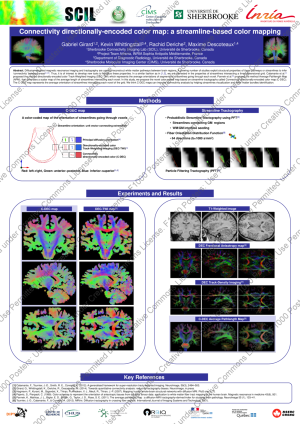 (PDF) Connectivity directionally-encoded color map: a streamline-based ...