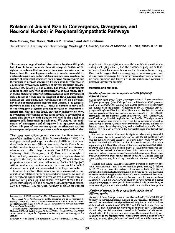 (PDF) Animal Size Effects on Neuronal Convergence and Divergence