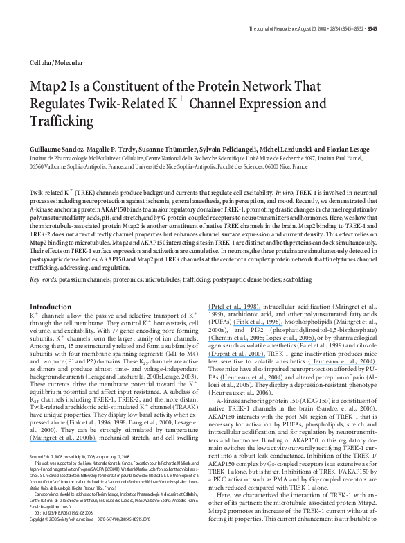 (PDF) Mtap2 Is a Constituent of the Protein Network That Regulates Twik ...