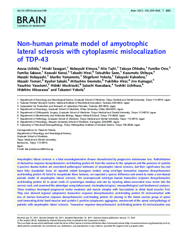 (PDF) Non-human primate model of amyotrophic lateral sclerosis with ...