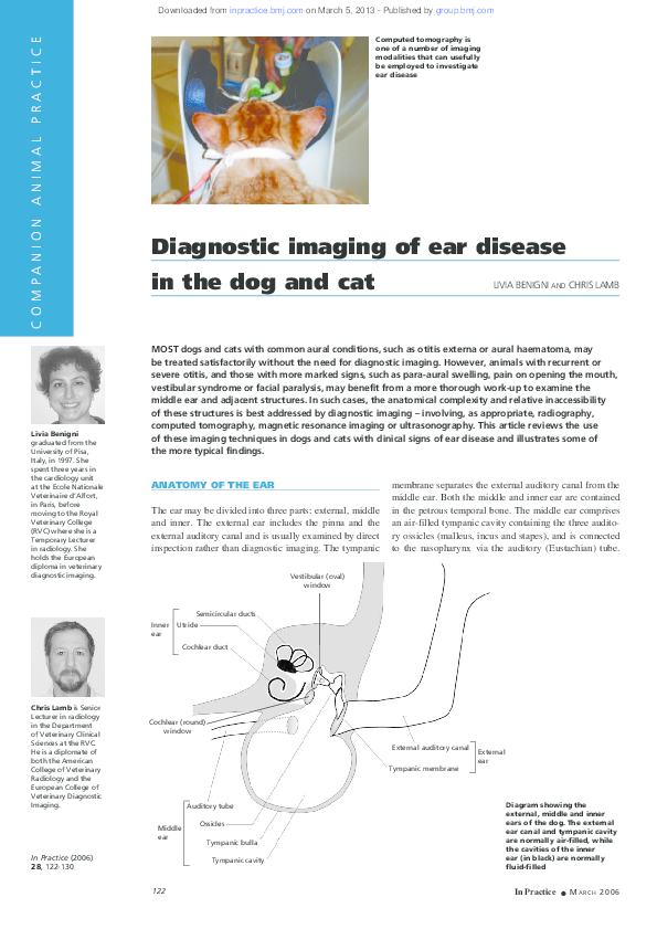 (PDF) Diagnostic imaging of ear disease in the dog and cat