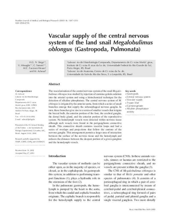 (PDF) Vascular supply of the central nervous system of the land snail ...