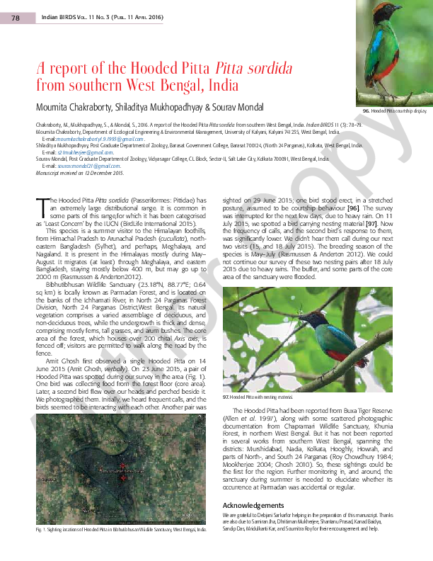 (PDF) A Report of the Hooded Pitta Pitta sordida from southern West ...