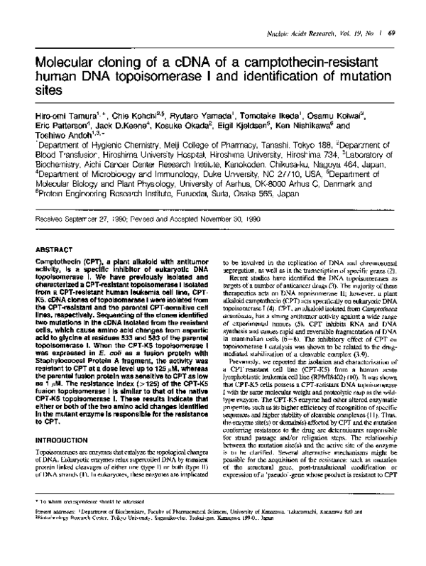 (PDF) Molecular cloning of a cDNA of a camptothecin-resistant human DNA ... (PDF) Molecular cloning of a cDNA of a camptothecin-resistant human DNA ...