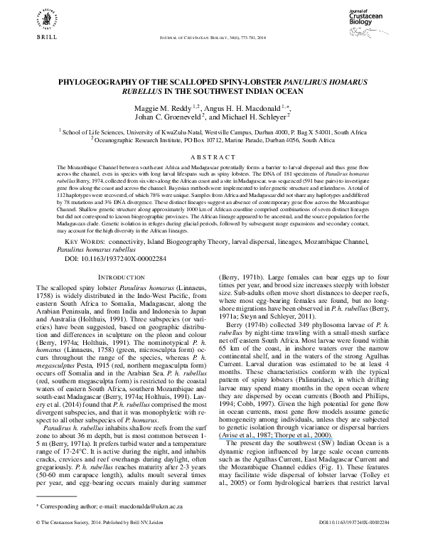 (PDF) Phylogeography of the scalloped spiny-lobster Panulirus homarus ...