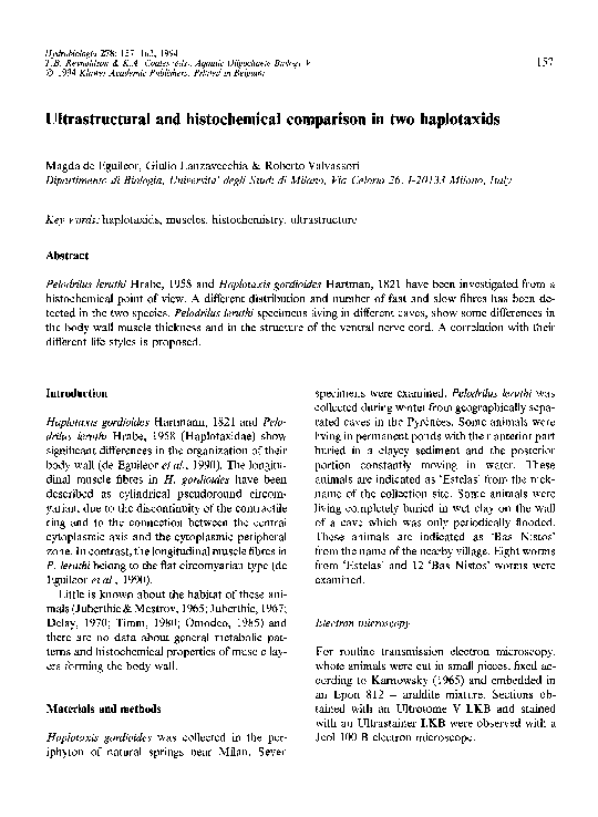 (PDF) Ultrastructural and histochemical comparison in two haplotaxids