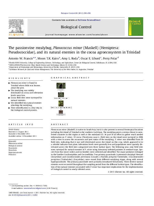 (PDF) The passionvine mealybug, Planococcus minor (Maskell) (Hemiptera ...