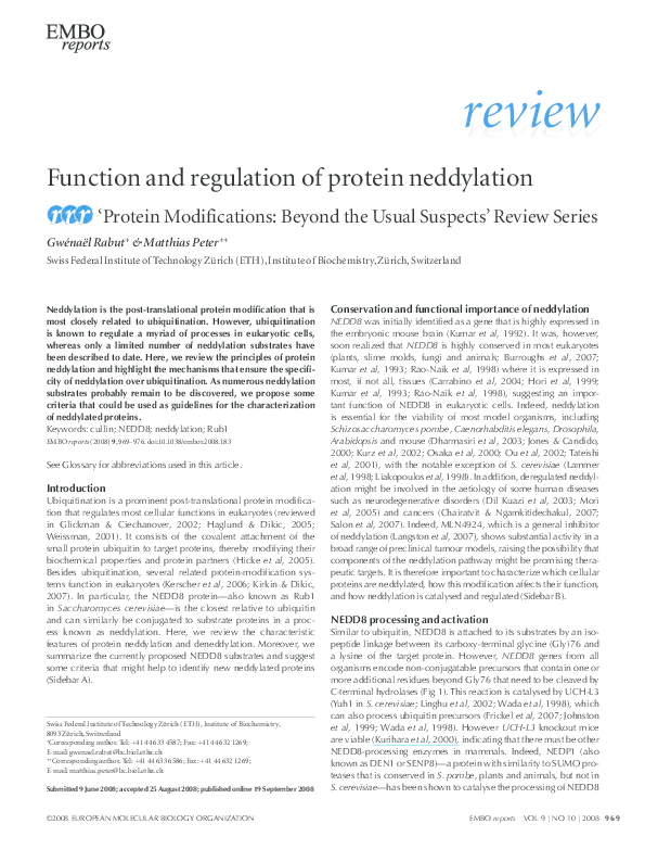(PDF) Function and regulation of protein neddylation. ‘Protein ...
