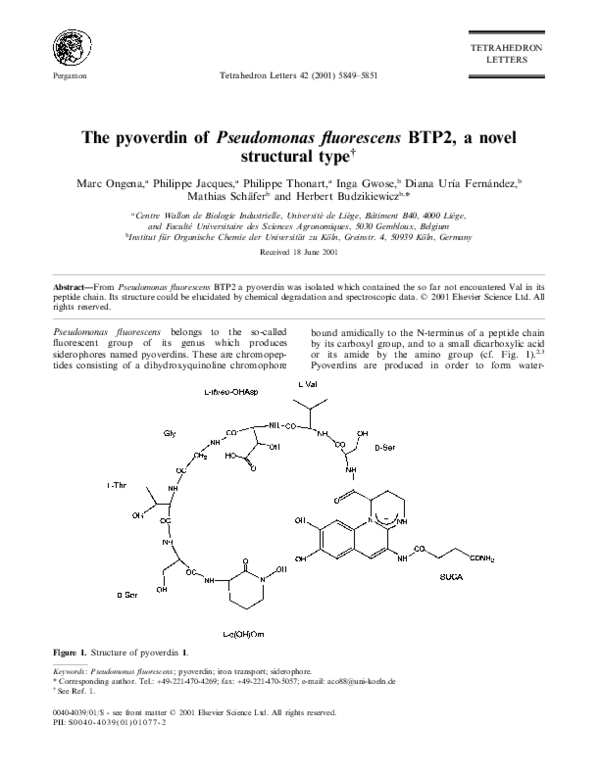 (PDF) The pyoverdin of Pseudomonas fluorescens BTP2, a novel structural ...