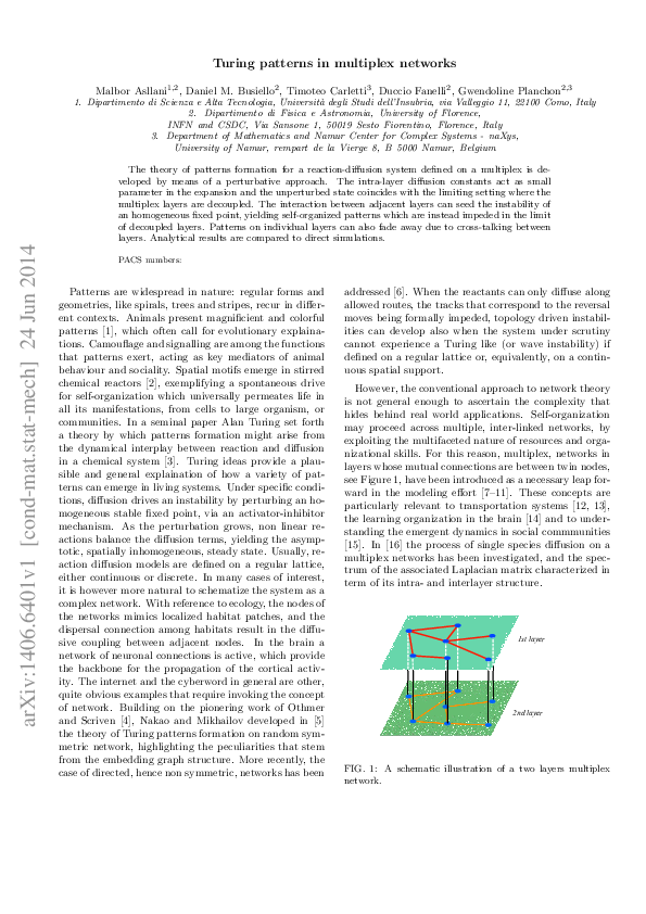 (PDF) Turing patterns in multiplex networks