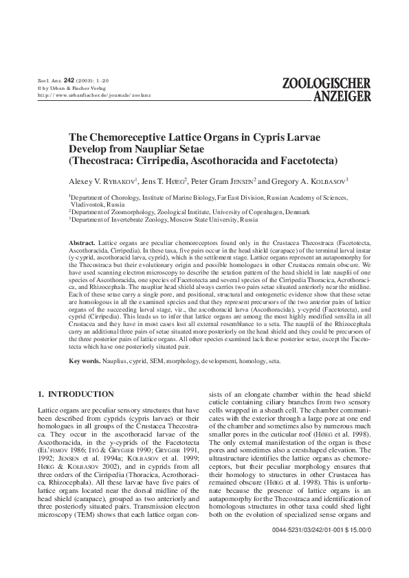 (PDF) The Chemoreceptive Lattice Organs in Cypris Larvae Develop from ...