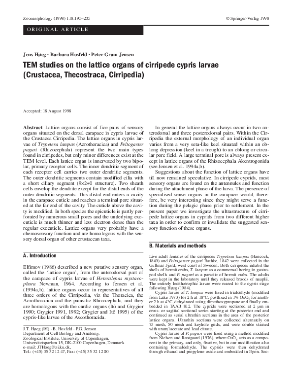 (PDF) TEM studies on the lattice organs of cirripede cypris larvae ...