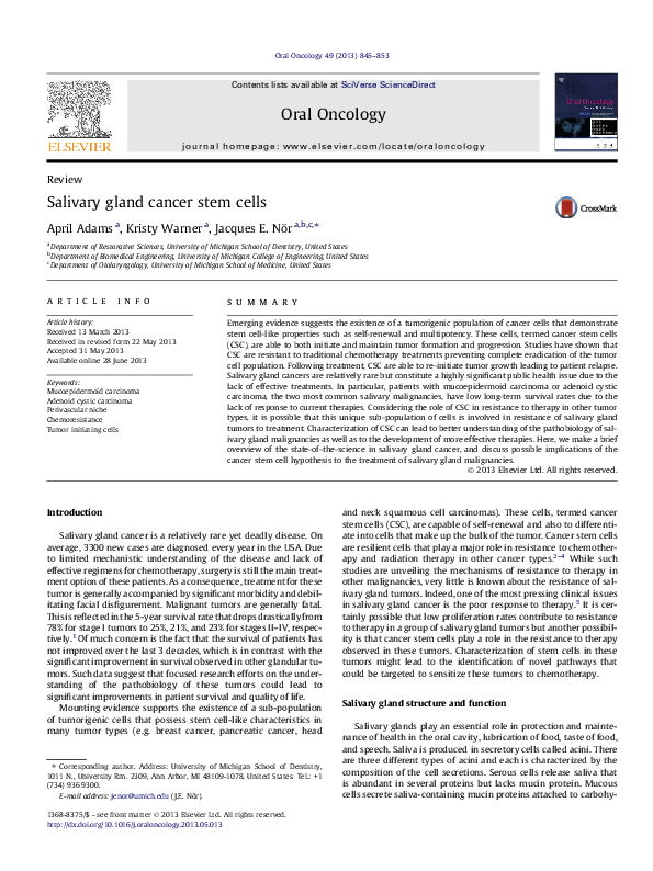 (PDF) Salivary gland cancer stem cells