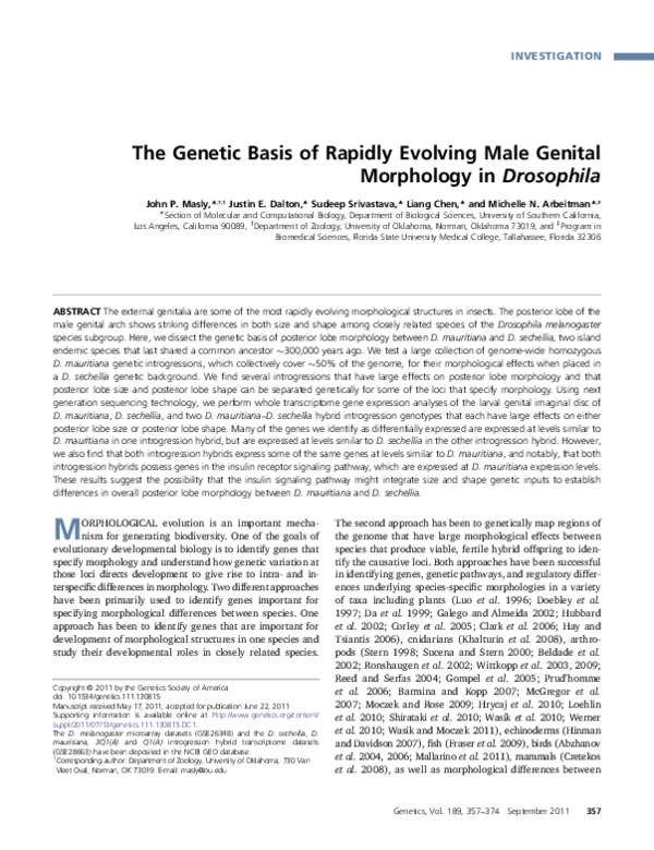 (PDF) Evolution of male genitalia: environmental and genetic factors ...