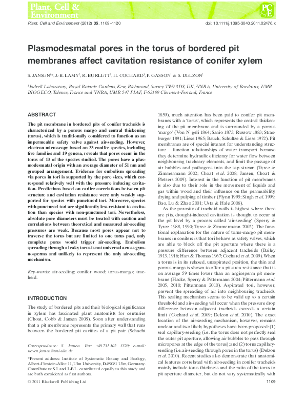 (PDF) Plasmodesmatal pores in the torus of bordered pit membranes ...