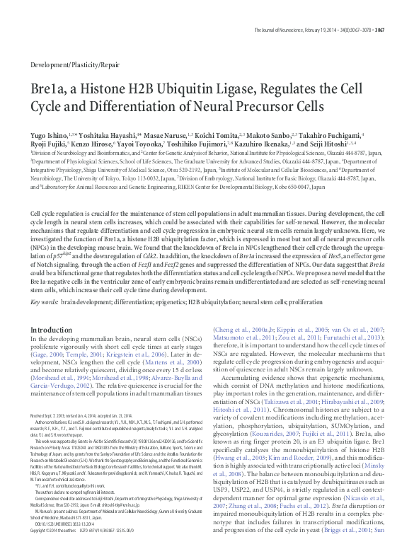 (PDF) Bre1a, a Histone H2B Ubiquitin Ligase, Regulates the Cell Cycle ...