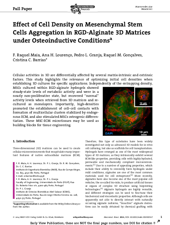 (PDF) Effect of Cell Density on Mesenchymal Stem Cells Aggregation in ...