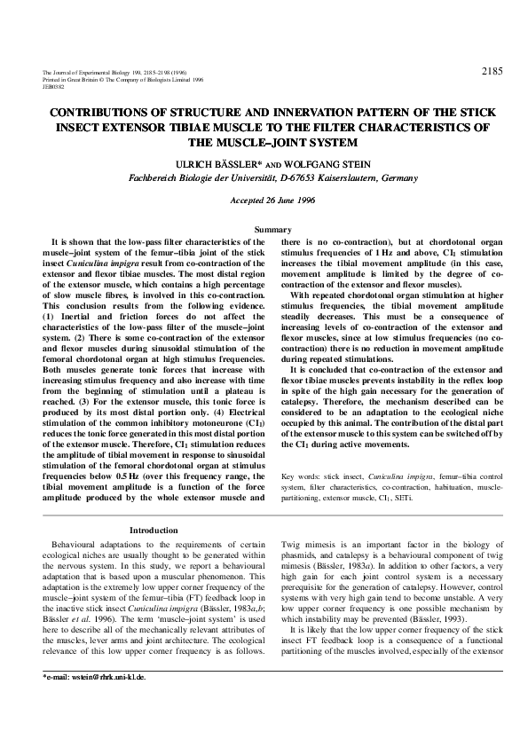 (PDF) Contributions of structure and innervation pattern of the stick ...