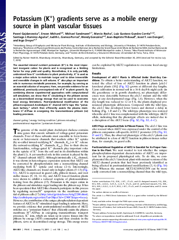 (PDF) Potassium (K+) gradients serve as a mobile energy source in plant ...