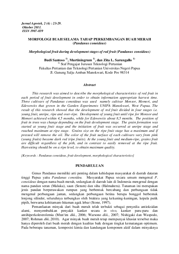 (PDF) MORFOLOGI BUAH SELAMA TAHAP PERKEMBANGAN BUAH MERAH (Pandanus ...