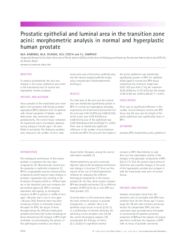(PDF) Prostatic epithelial and luminal area in the transition zone ...