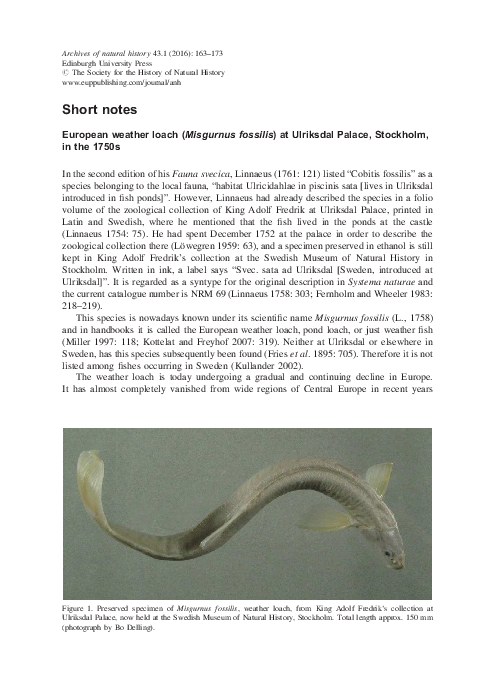 (PDF) European weather loach Misgurnus fossilis) at Ulriksdal Palace ...