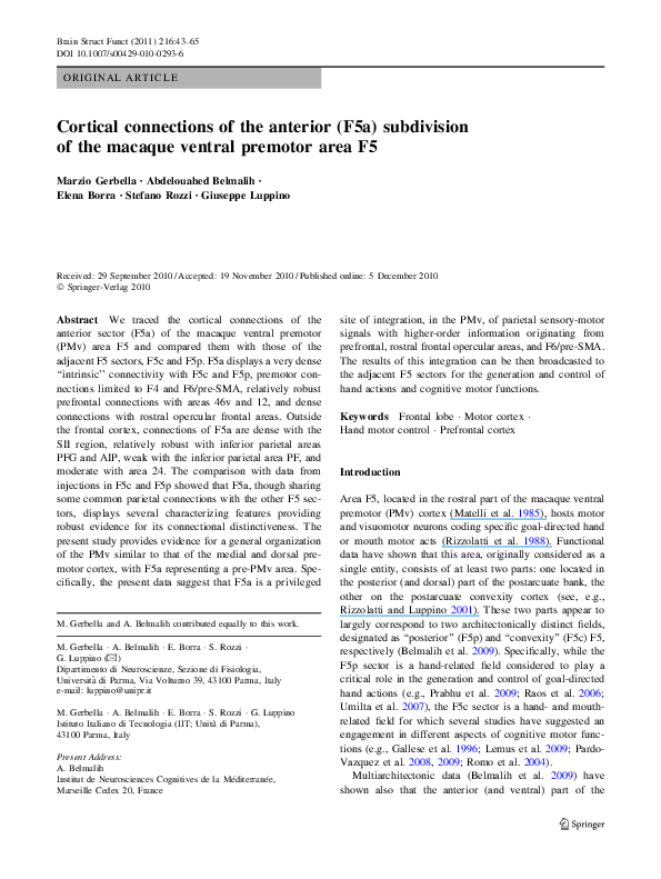 (PDF) Cortical connections of the anterior (F5a) subdivision of the ...