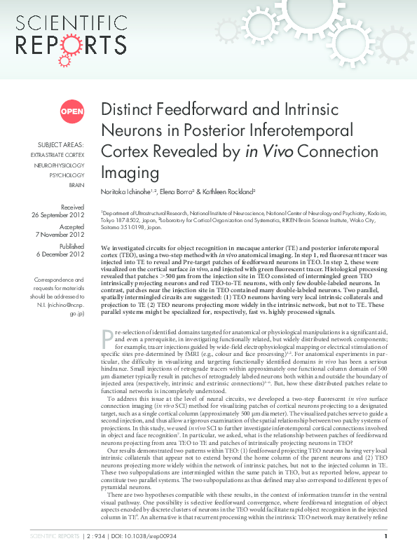 (PDF) Distinct Feedforward and Intrinsic Neurons in Posterior ...