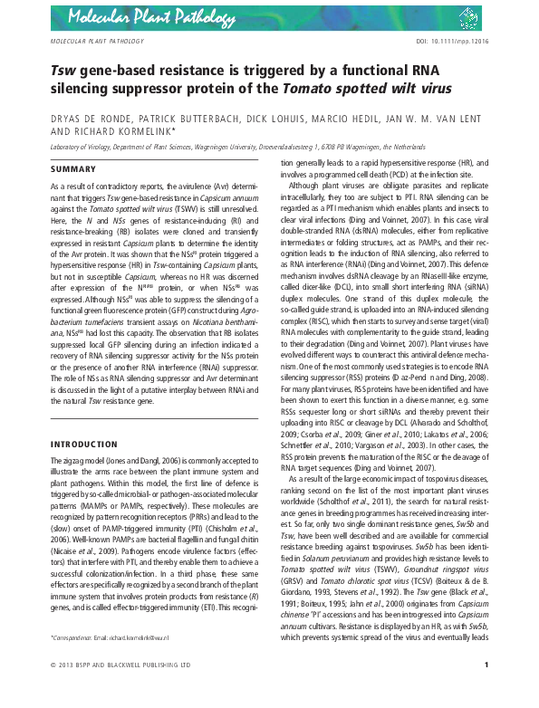 (PDF) Tsw gene-based resistance is triggered by a functional RNA ...