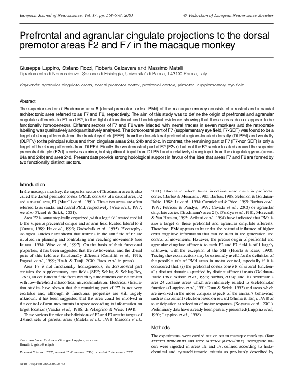(PDF) Projections from the superior temporal sulcus to the agranular ...