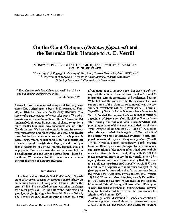 (PDF) On the Giant Octopus (Octopus Giganteus) and the Bermuda Blob ...
