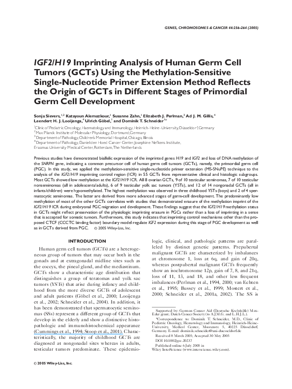 (PDF) IGF2/H19 imprinting analysis of human germ cell tumors (GCTs) using the methylation ...
