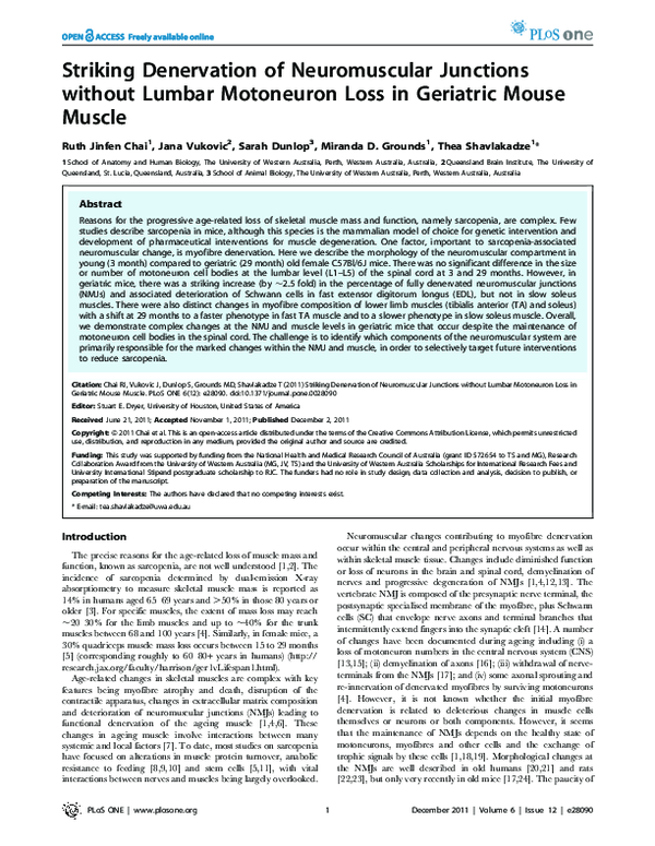 (PDF) Striking Denervation of Neuromuscular Junctions without Lumbar ...