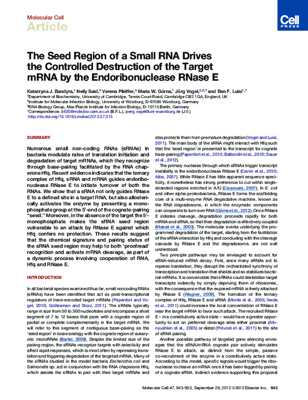 (PDF) The Seed Region of a Small RNA Drives the Controlled Destruction ...