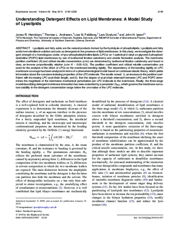 (PDF) Understanding Detergent Effects on Lipid Membranes: A Model Study ...