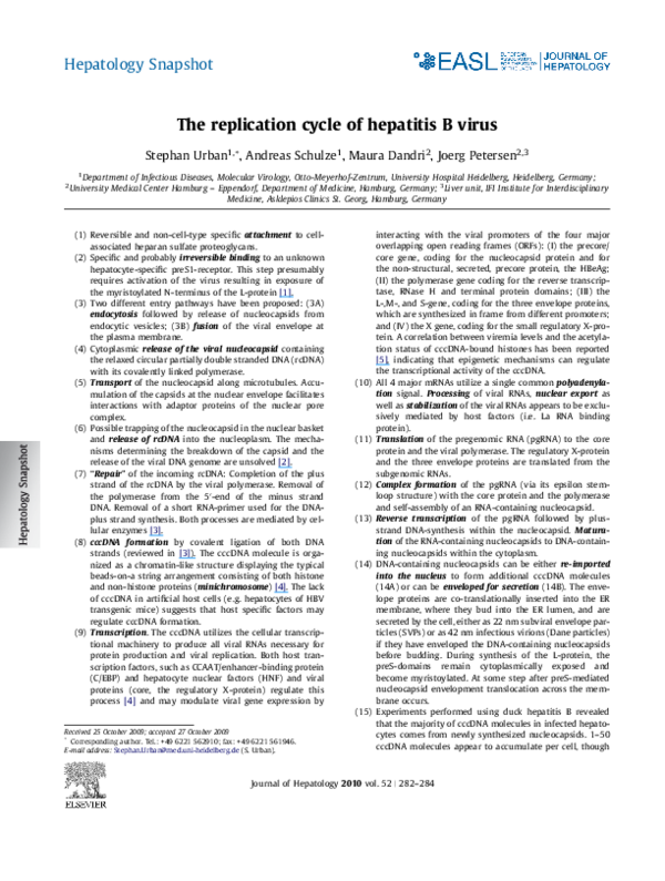 (PDF) The replication cycle of hepatitis B virus