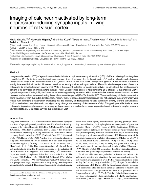 (PDF) Imaging of calcineurin activated by long-term depression-inducing synaptic inputs in ...
