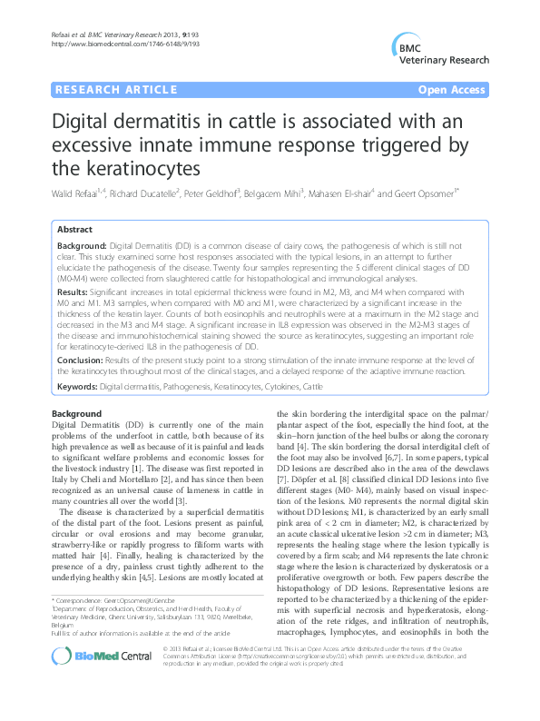 (PDF) Digital dermatitis in cattle is associated with an excessive ...
