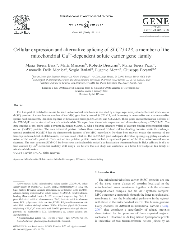 (PDF) Cellular expression and alternative splicing of SLC25A23, a ...