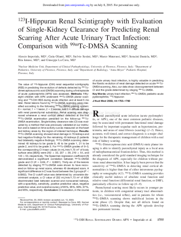 (PDF) 123I-hippuran renal scintigraphy with evaluation of single-kidney ...