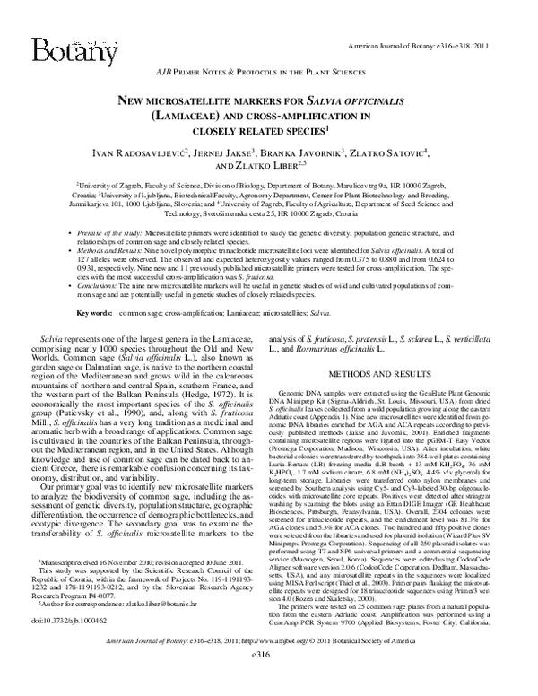 Pdf New Microsatellite Markers For Salvia Officinalis Lamiaceae And
