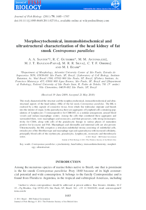 (PDF) Morphocytochemical, immunohistochemical and ultrastructural ...