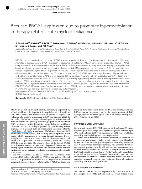 (PDF) Reduced BRCA1 expression due to promoter hypermethylation in ...