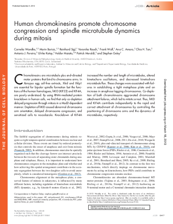 (PDF) Human chromokinesins promote chromosome congression and spindle ...