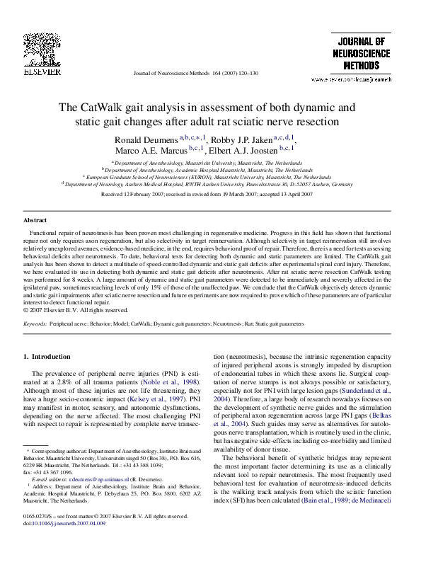 (PDF) The CatWalk gait analysis in assessment of both dynamic and ...